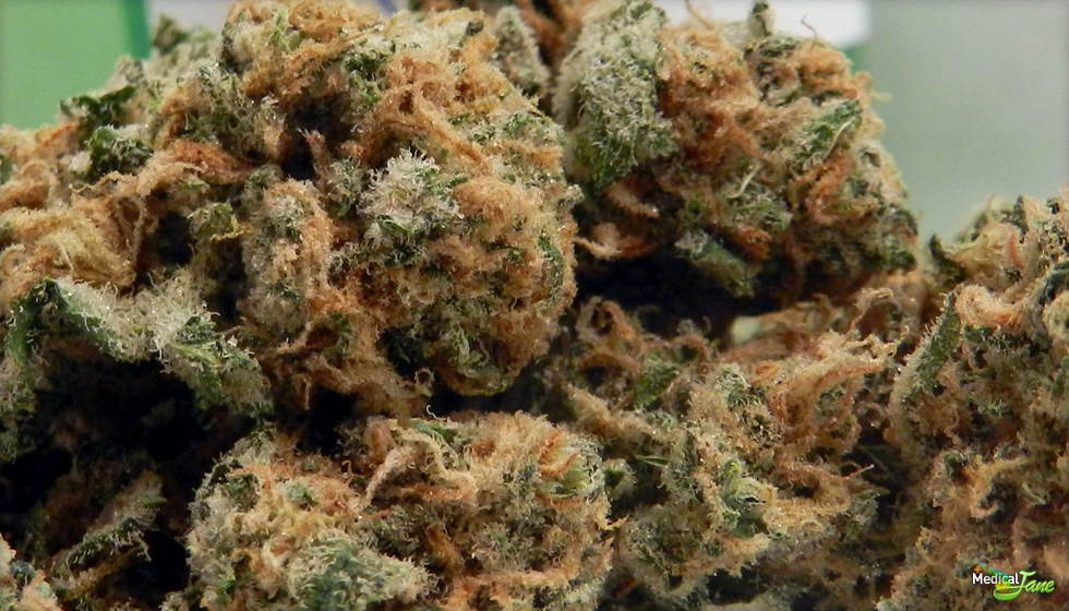 Romulan Marijuana Strain (Review)