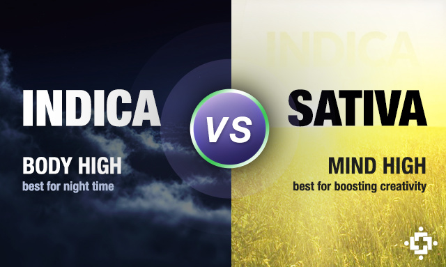 Indica vs. Sativa Medical Marijuana Strain Differences