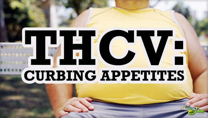 An Overview Of Tetrahydrocannabivarin (THCV)