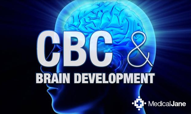 CBC In Medical Marijuana And Its Effects On The Brain