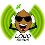 Loud Seeds - Barcelona, Spain