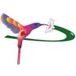 Pollinator Company Amsterdam - Amsterdam, Netherlands