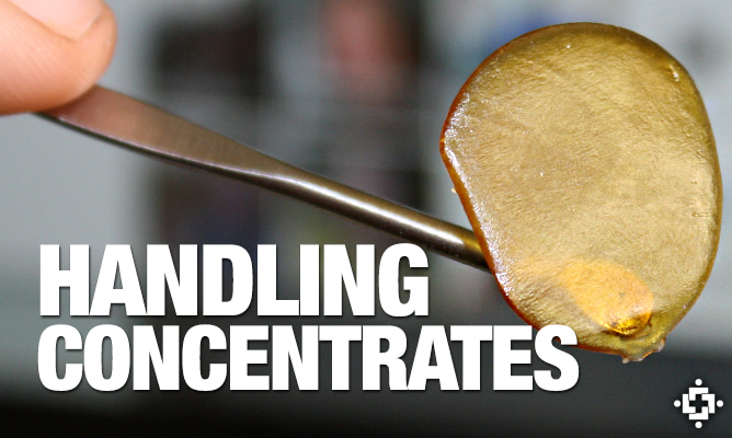 Cannabis Concentrates and How To Handle Them