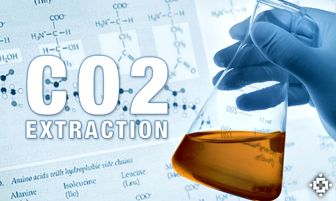 Supercritical CO2 Cannabis Extraction Is Safe