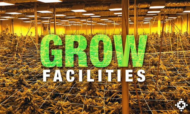 Building a Medical Marijuana Grow Facility