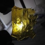 Royal Extracts - San Diego, California