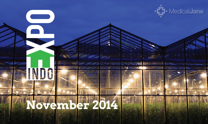 Introducing The Indo Expo Show, a Denver Colorado Event