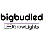 BigBud LED - Atlanta, Georgia