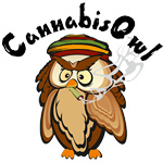 Cannabis Owl