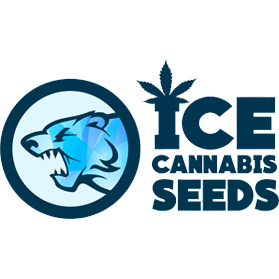 ICE Cannabis Seeds