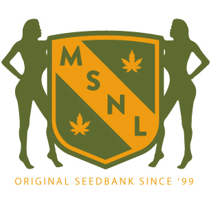 Marijuana-Seeds.nl