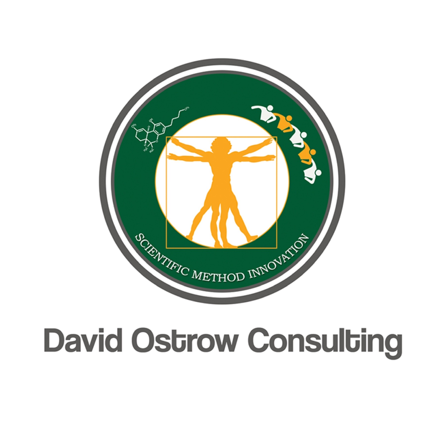 David Ostrow & Associates