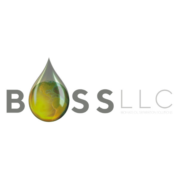 BOSS LLC