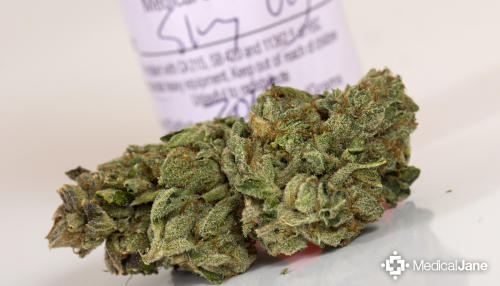 skywalker og growing tips